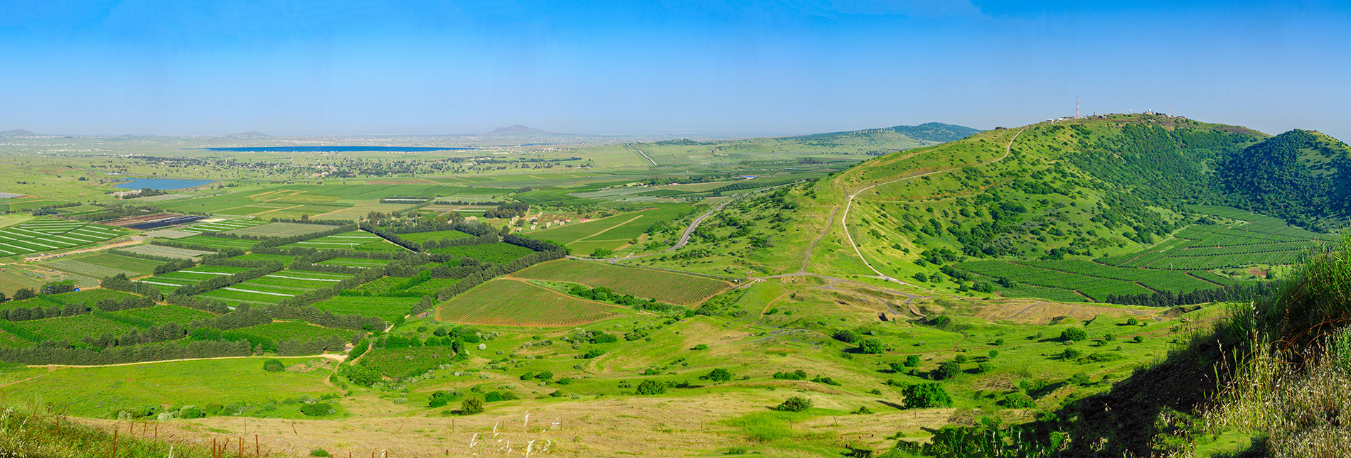 Patriarchs and Prophets: Chapter 39 – The Conquest of Bashan - Revival Plan